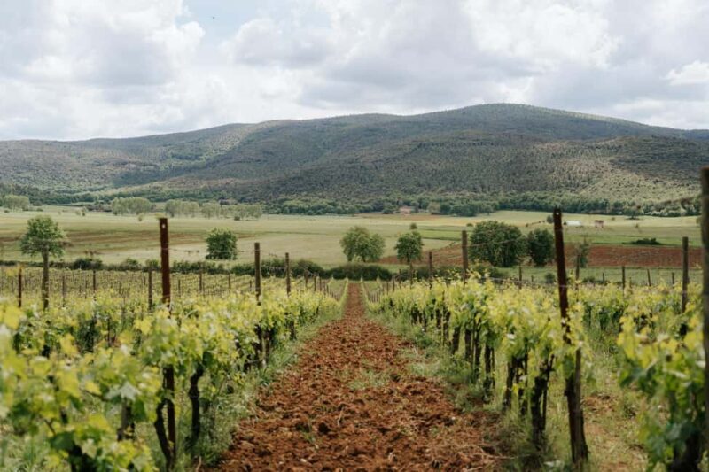 From Florence: Ultimate Tuscany Day Trip with Wine & Lunch - Key Points