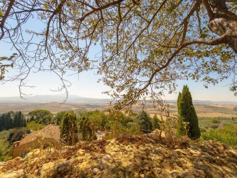 From Florence: Val D'Orcia Tour with Wine Tasting - The Sum Up