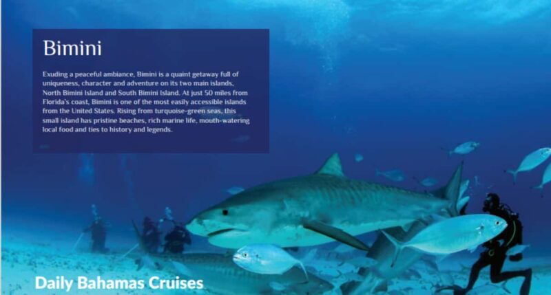 From Fort Lauderdale: Bimini Island Day Trip by Ferry - Who Is This Tour Best Suited For?