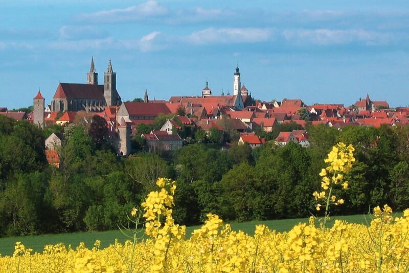 From Frankfurt: Rothenburg ob der Tauber Wine Tour - Stopping at Röttingen and the Charm of a European First