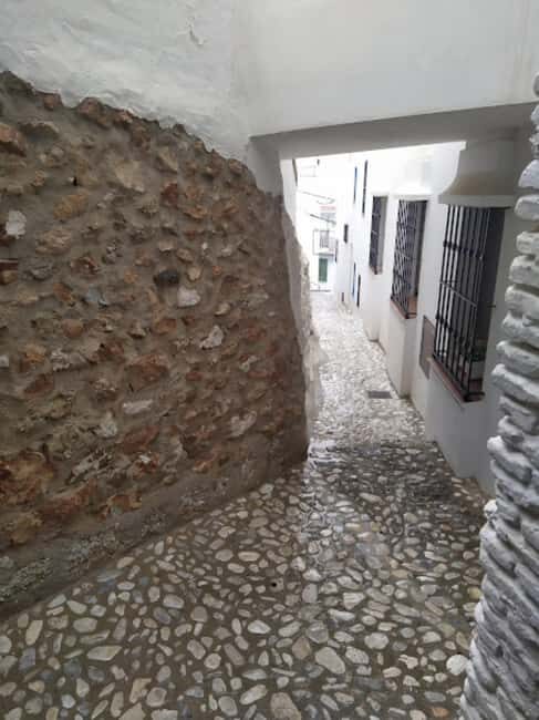 From Fuengirola: Frigiliana & Nerja - Introduction to the Experience