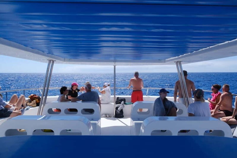 From Funchal: Ecological Catamaran Dolphin Whale Watching - FAQs
