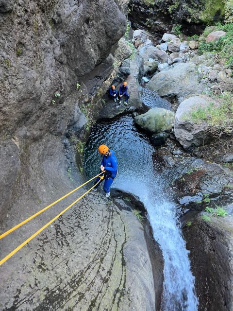 From Funchal: Intermediate Canyoning Adventure (Level 2) - What the Reviews Say