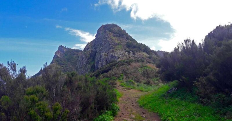 From Funchal: Machico to Porto da Cruz Larano Cliff Hike - The Possible Drawbacks
