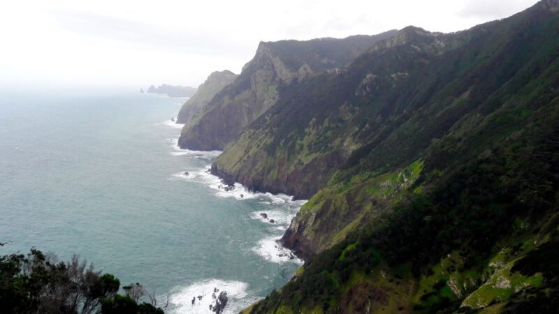 From Funchal: Machico to Porto da Cruz Larano Cliff Hike - Authentic Feedback from Travelers