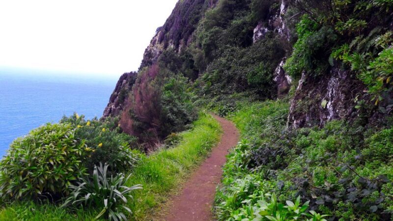 From Funchal: Machico to Porto da Cruz Larano Cliff Hike - Who Will Love This Tour?