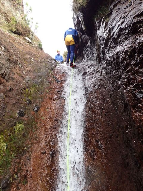 From Funchal: Madeira Island Canyoning for Beginners - Who Should Consider This Tour?