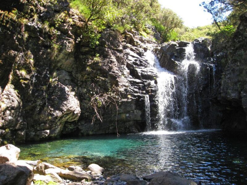 From Funchal: Madeira Lakes Levada Guided Hike - Authentic Experiences from Reviewers