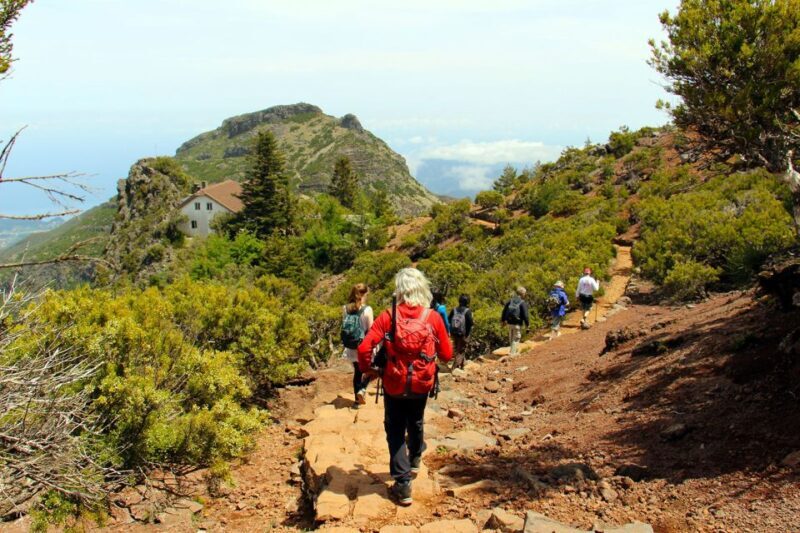 From Funchal: Madeira Peaks Mountain Walk - A Complete Breakdown of the Madeira Peaks Mountain Walk