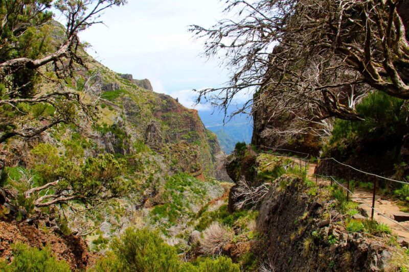 From Funchal: Madeira Peaks Mountain Walk - FAQs