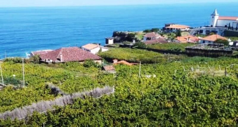 From Funchal: Madeira Wine Tour, Cable Car & Typical Lunch - Exploring the itinerary in detail