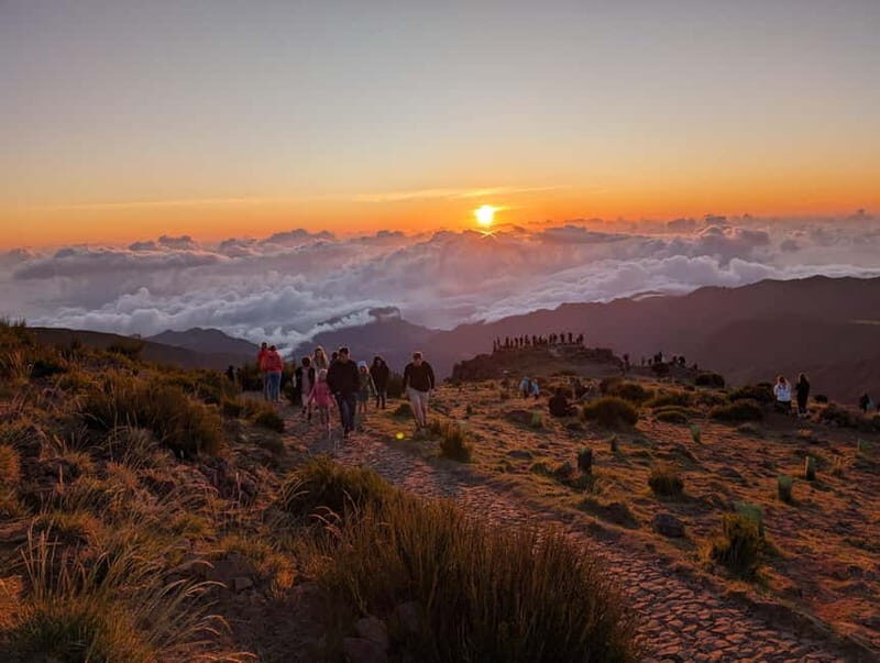 From Funchal: Pico Arieiro Sunrise with Optional Breakfast - Key Points