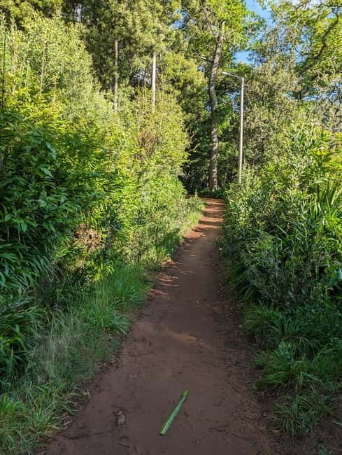 From Funchal: Pico Arieiro Sunrise with Optional Breakfast - Return Journey and Drop-off
