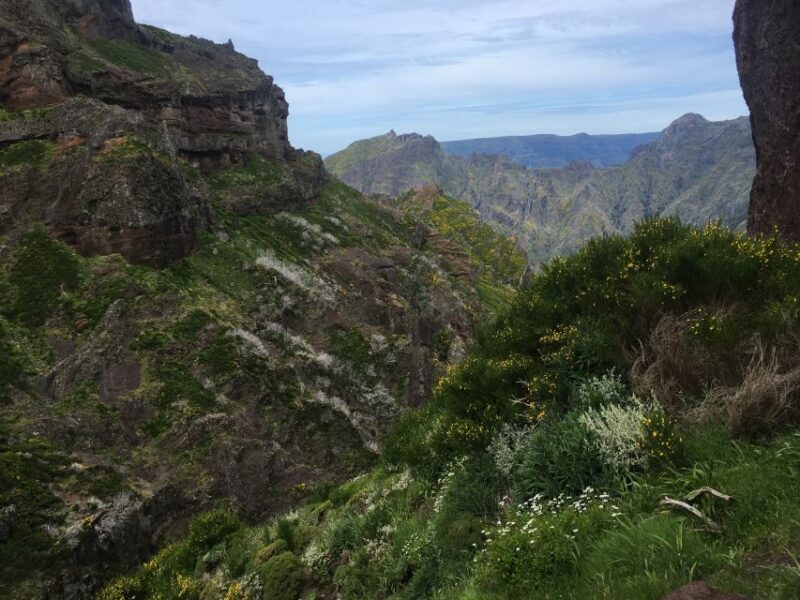 From Funchal: Santana and Pico do Areeiro East Island Tour - The Itinerary Breakdown: What You’ll Actually Experience