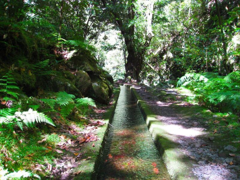 From Funchal: São Jorge Valleys Levada Walk - An Introduction to the São Jorge Valleys Levada Walk