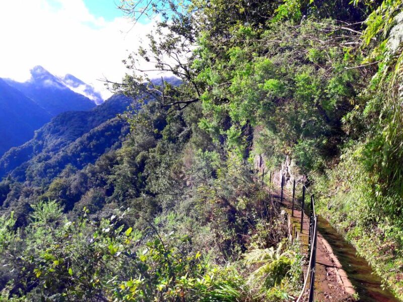 From Funchal: São Jorge Valleys Levada Walk - The Journey’s Practicalities