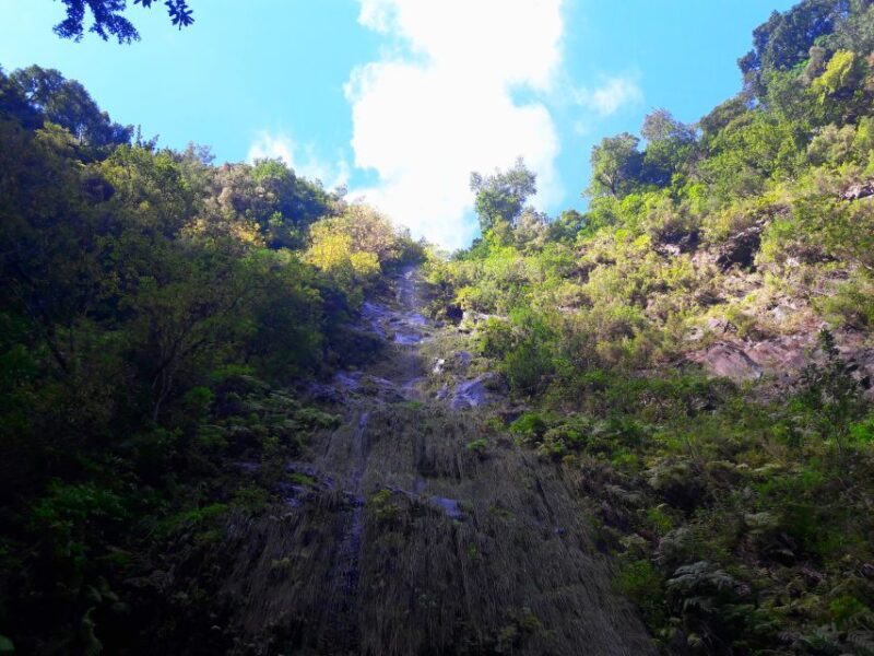 From Funchal: São Jorge Valleys Levada Walk - The Sum Up