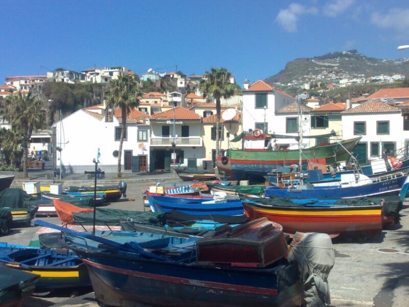 From Funchal: West Madeira Waterfalls and Fanal Forest Tour - Final Thoughts