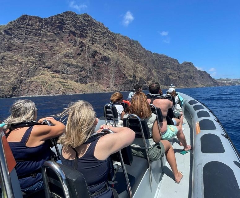 From Funchal: Whale and Dolphin Watching - From Funchal: Whale and Dolphin Watching — An Authentic Marine Adventure in Madeira