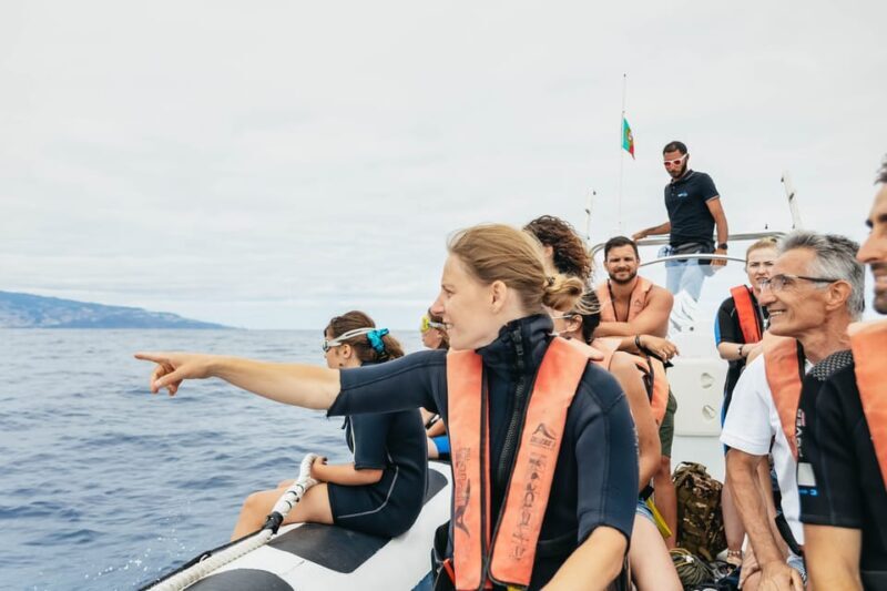 From Funchal: Whales and Dolphin Adventure Tour - Additional Features and Practicalities