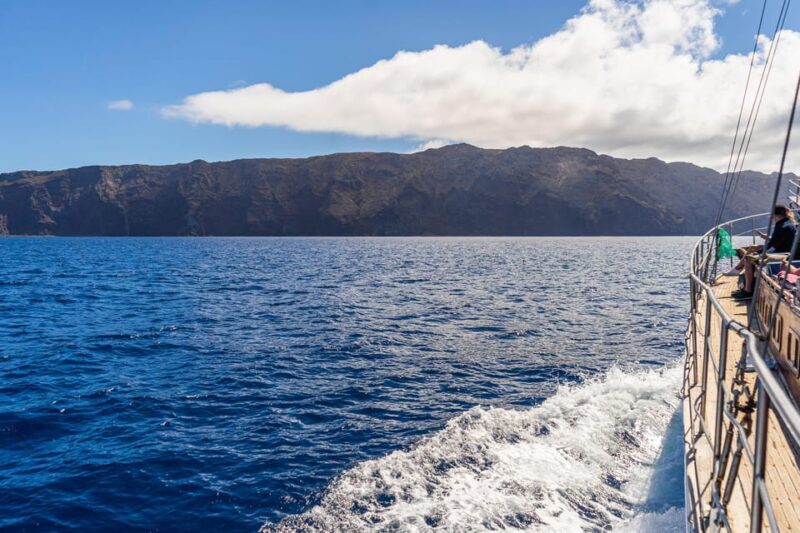 From Funchal: Wooden Boat Excursion to Desertas Island - The Sum Up