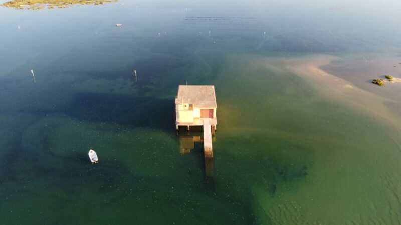 From Fuzeta: 2-Hour Southeast Ria Formosa Boat Trip - Practical Details and Tips