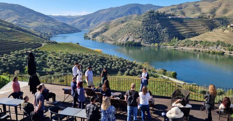From Gaia Douro Valley Tour Wine Tasting River Cruise Lunch - Practical Tips for Booking and Enjoying the Tour