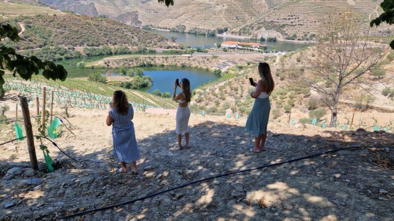 From Gaia Douro Valley Tour Wine Tasting River Cruise Lunch - FAQ