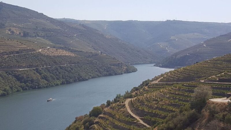 From Gaia Douro Valley Tour Wine Tasting River Cruise Lunch - Final Thoughts