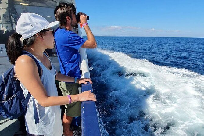 From Galway; Aran Islands Day Tour & Cliffs of Moher cruise - Practical Aspects and Tips