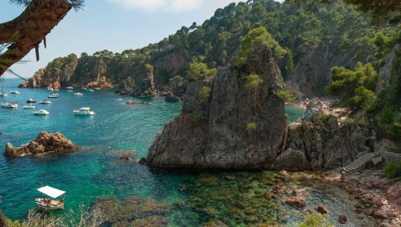 From Girona: Medieval Costa Brava Day Trip - Who Will Love This Experience?