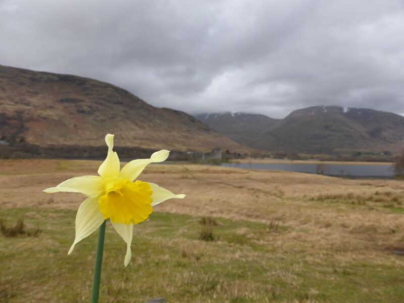 From Glasgow: Scottish Highlands & Isle of Skye 5-Day Tour - Authentic Traveler Insights