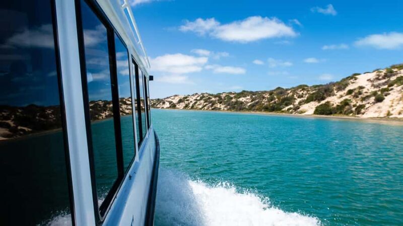 From Goolwa: Half-Day Coorong Experience - Key Points
