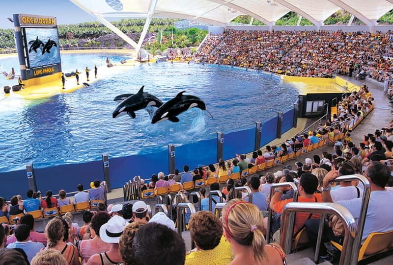 From Gran Canaria: Day Trip to Loro Parque Tenerife - Final Thoughts