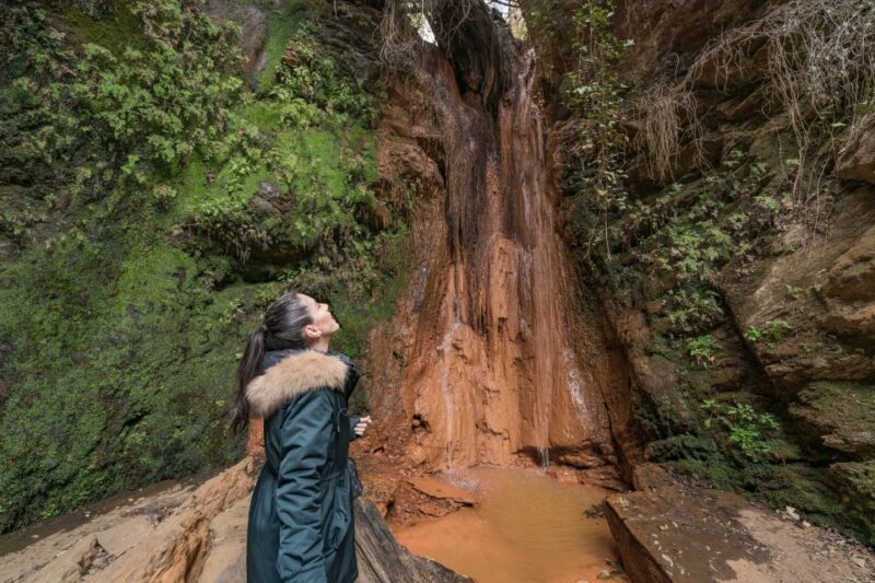 From Granada: Alpujarra Villages Guided Day Tour - What Could Be Better