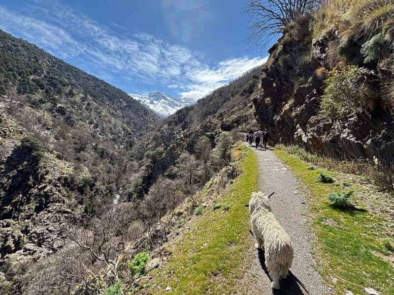 From Granada: High Sierra Nevada hiking experience - Guide, Gear, & Group Experience