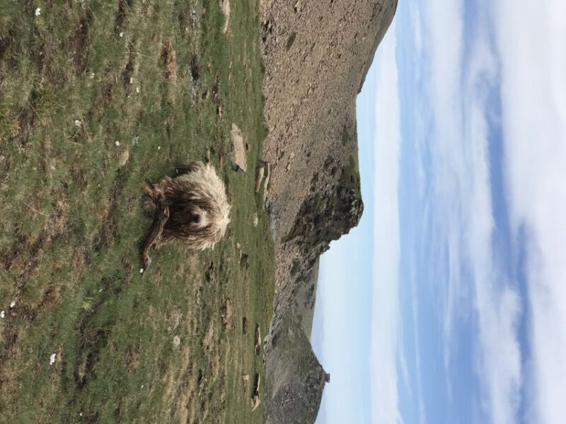 From Granada: High Sierra Nevada hiking experience - Who Will Love This Tour?