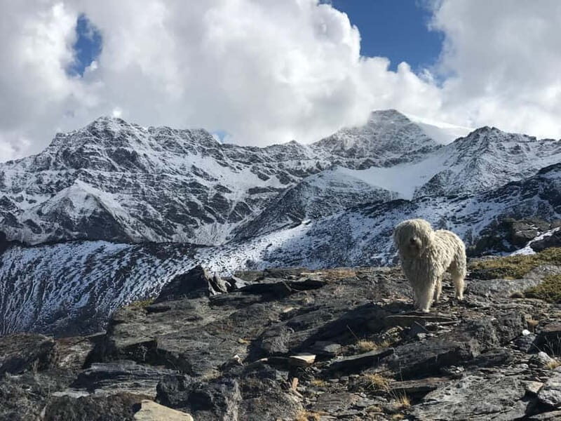 From Granada: High Sierra Nevada hiking experience - Frequently Asked Questions