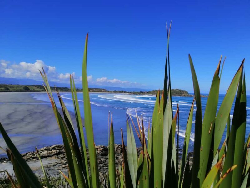 From Greymouth: Highlights West Coast Day Tour - Introduction