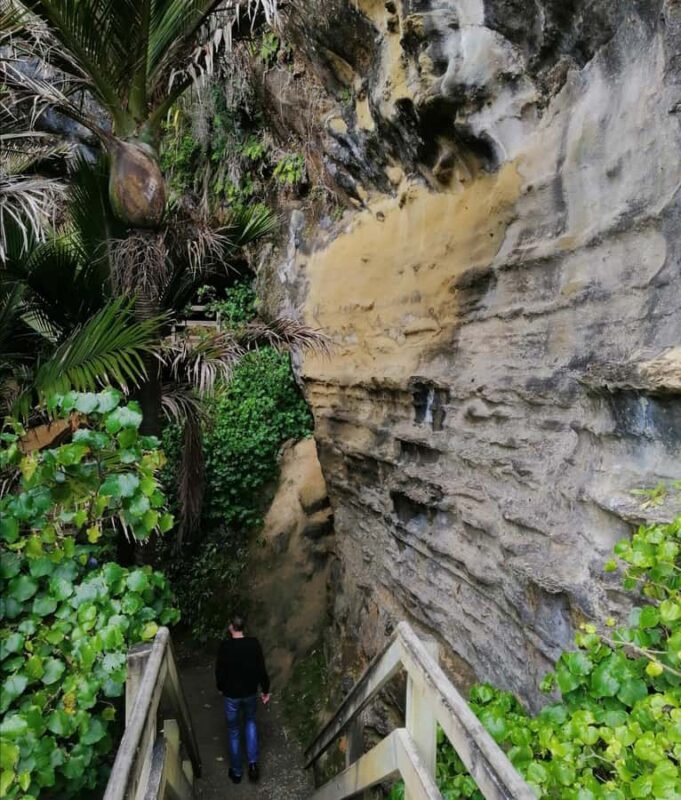 From Greymouth: Highlights West Coast Day Tour - Nature and Scenic Drives