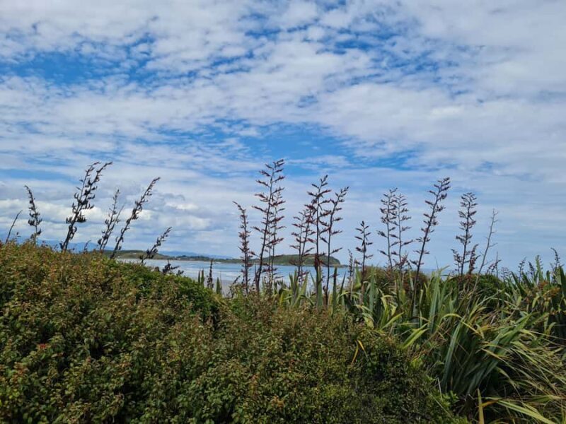 From Greymouth: Highlights West Coast Day Tour - Authentic Traveler Insights from Reviews