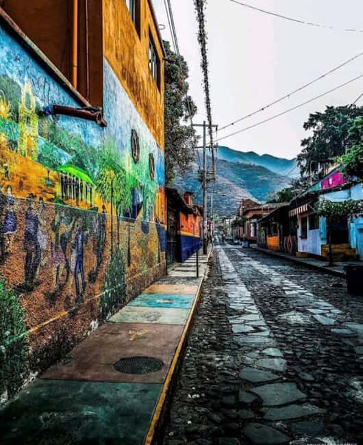 From Guadalajara: Chapala & Ajijic Private Full Day Tour - Final Thoughts