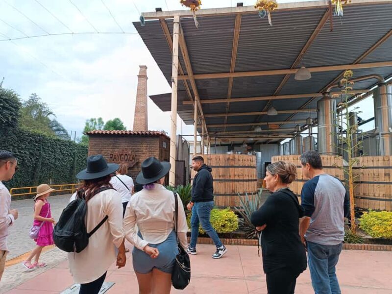 From Guadalajara: Tequila Town and Cantaritos El Guero - Who Should Book This Tour?