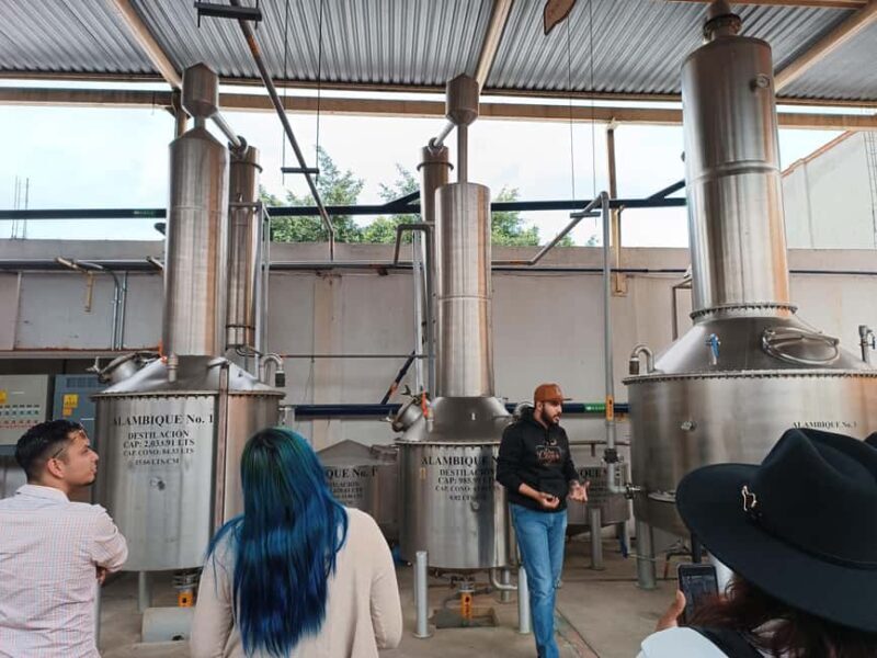 From Guadalajara: Tequila Town and Cantaritos El Guero - Final Thoughts