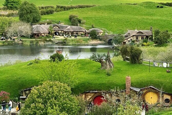 From Hamilton Hobbiton Waitomo Glowworm Caves 1 Day Private Tour - Transportation and Comfort
