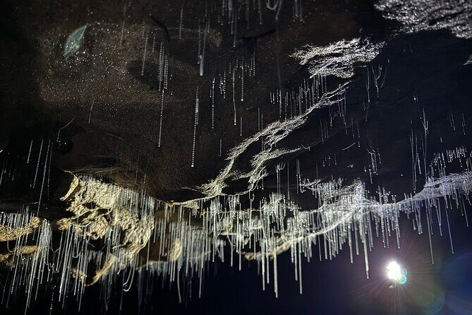 From Hamilton: Waitomo Glowworm & Cave Explorer Small Group Tour - What Makes This Tour Stand Out?