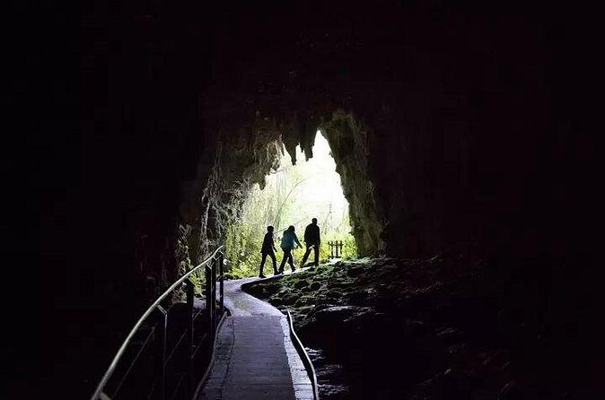 From Hamilton: Waitomo Glowworm & Cave Explorer Small Group Tour - What Could Be Better?