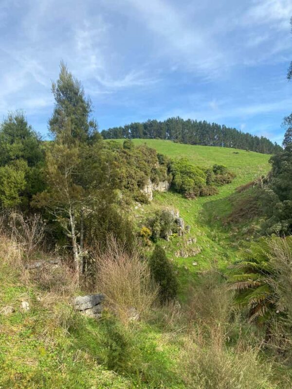 From Hamilton: Waitomo Glowworm Caves Explorer Small Group - Final Thoughts
