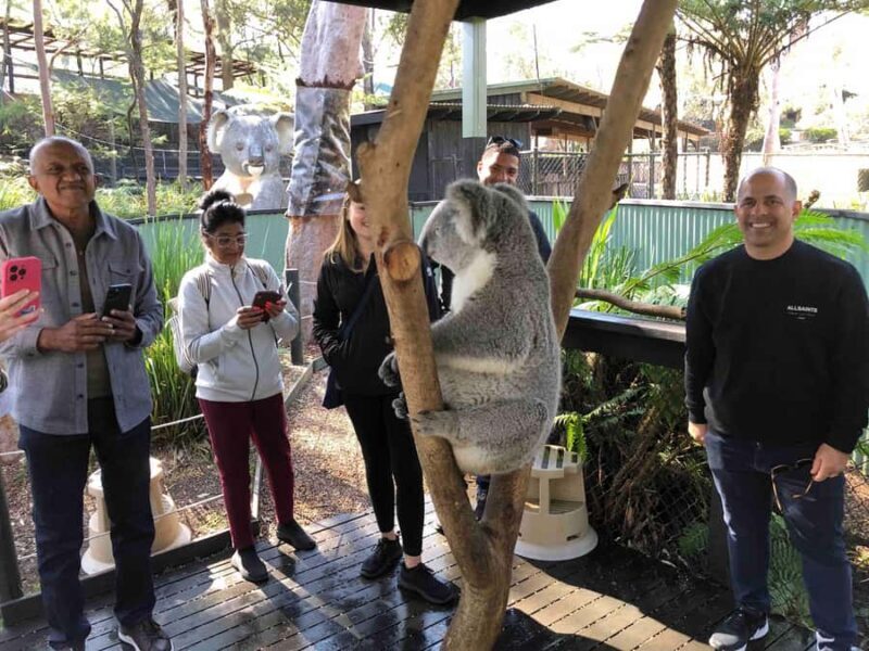 From Haymarket: Hunter Valley Wine and Wildlife Day Trip - Key Points