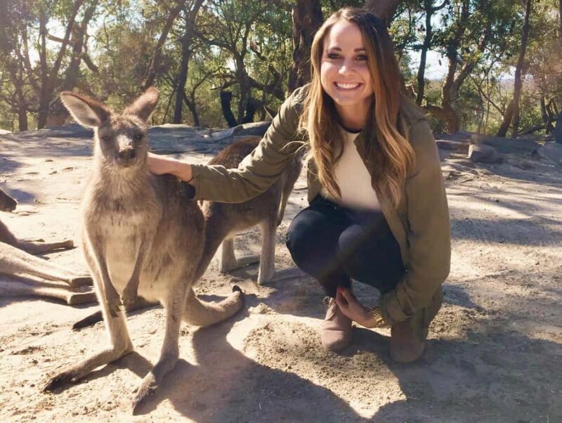 From Haymarket: Hunter Valley Wine and Wildlife Day Trip - An In-Depth Look at the Hunter Valley Day Trip